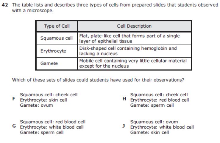 Staar Biology May 2021 Released Answer Key Judithcahen Answer Key For